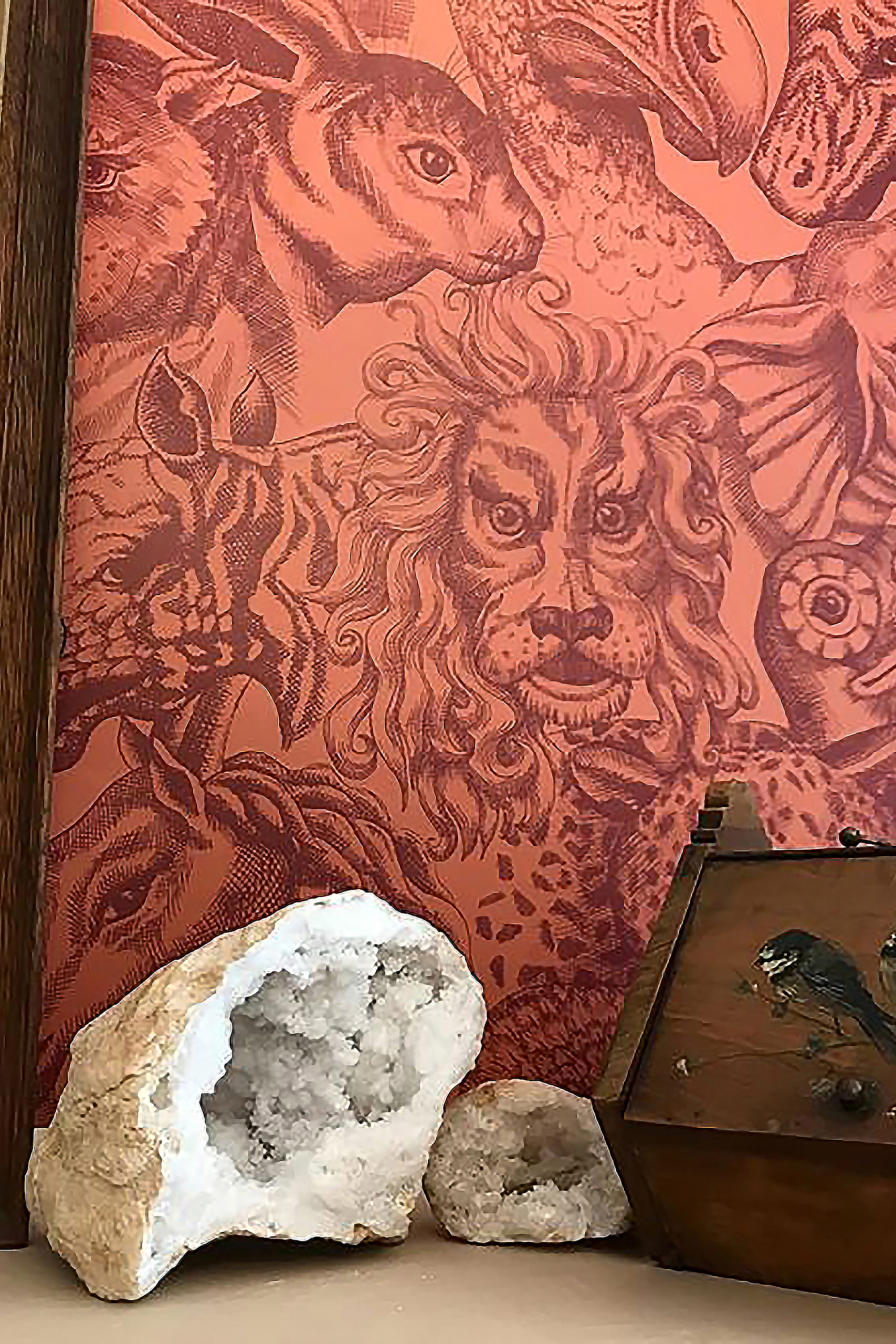 Rara Aleuria Wallpaper • Wildmore • Wallpaper • Rara • Aleuria